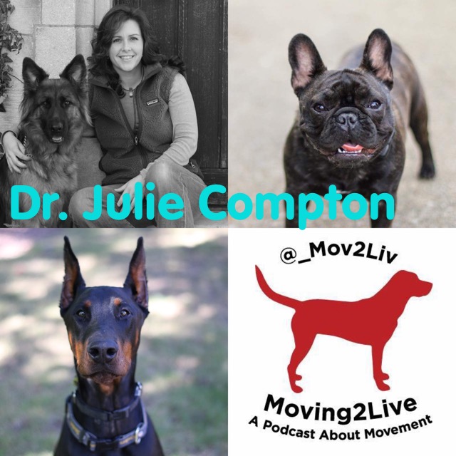 Julie Compton, DVM, MS, DACVS-SA – CBD for Pets | Moving2Live